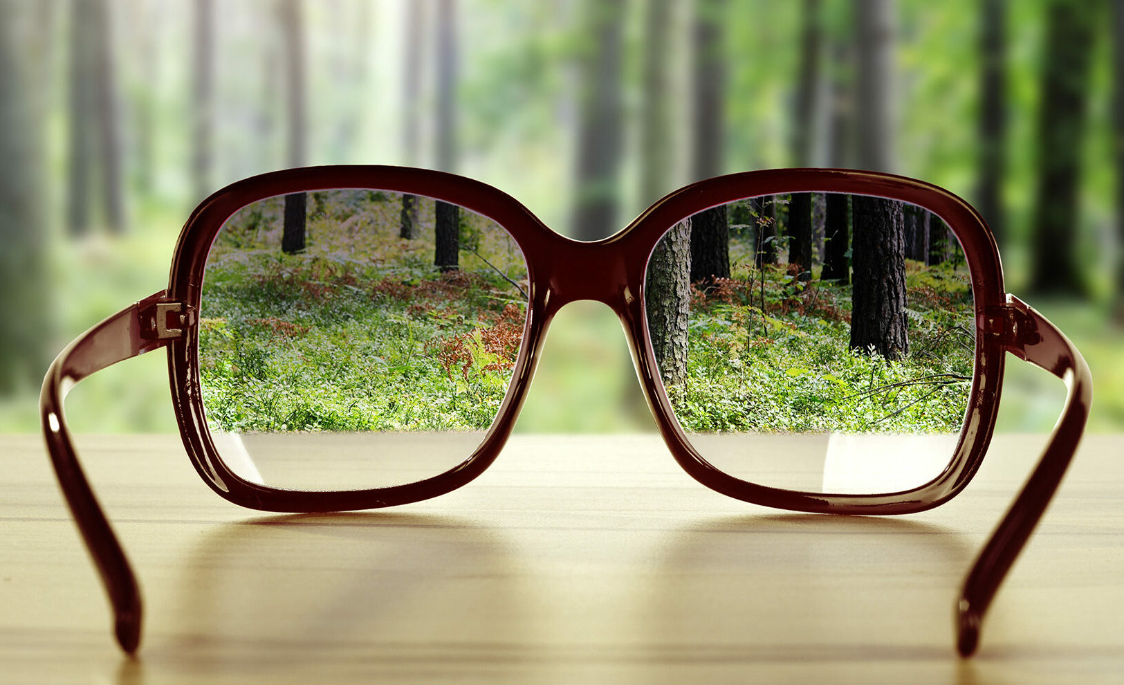 Freination de la myopie - Bliss Ophtalmo